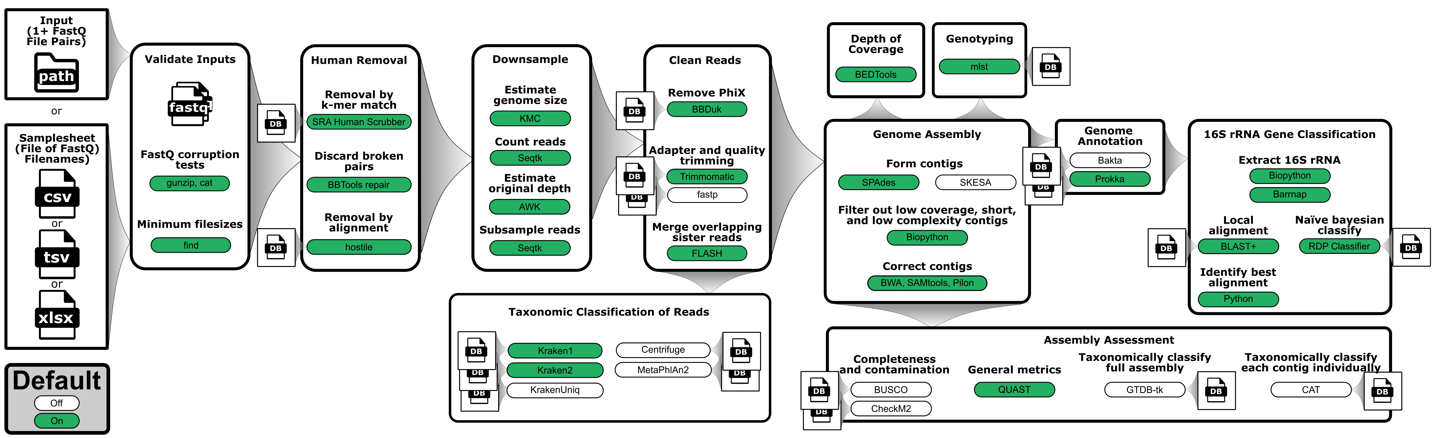 Bacterial Genomics Project