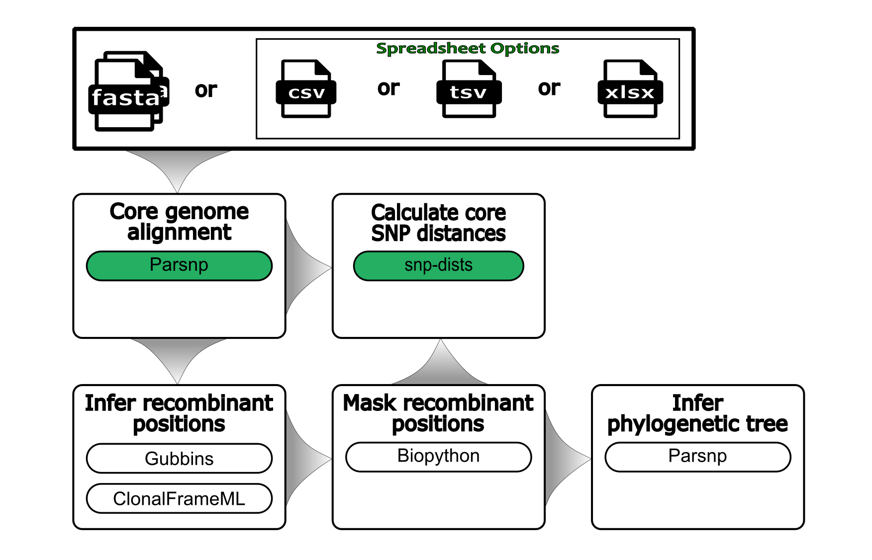 Bacterial Genomics Project
