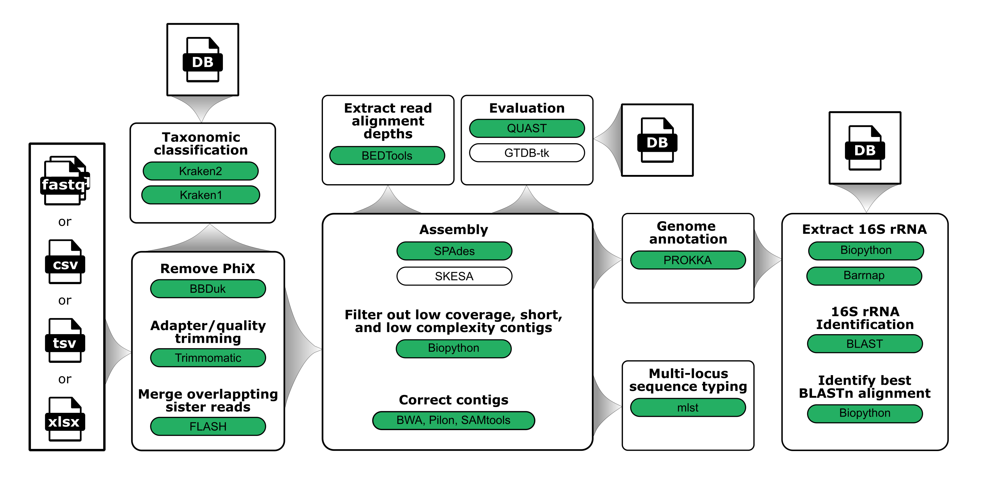 Bacterial Genomics Bacterial Genomics